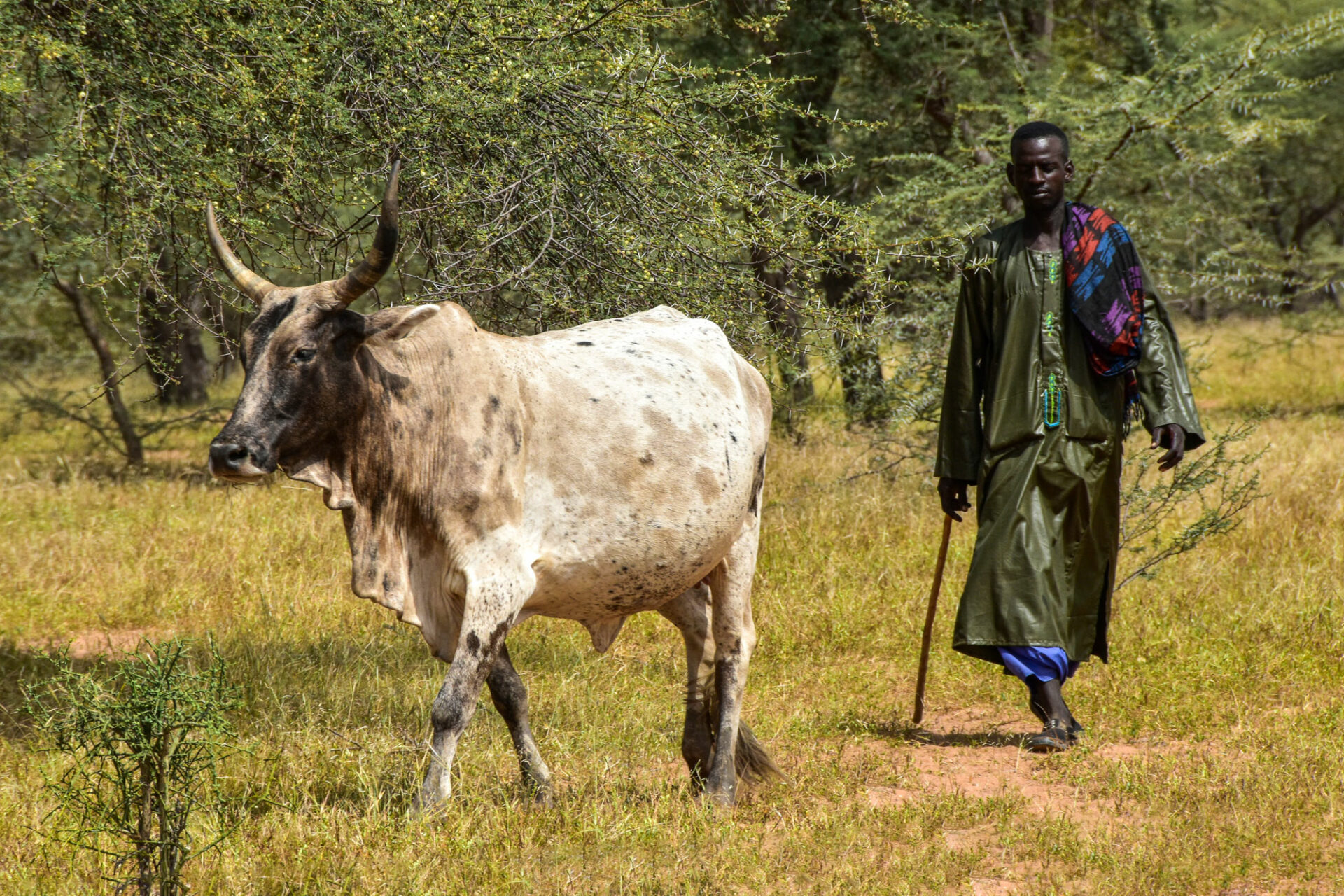 Contact | Institut Balanitès