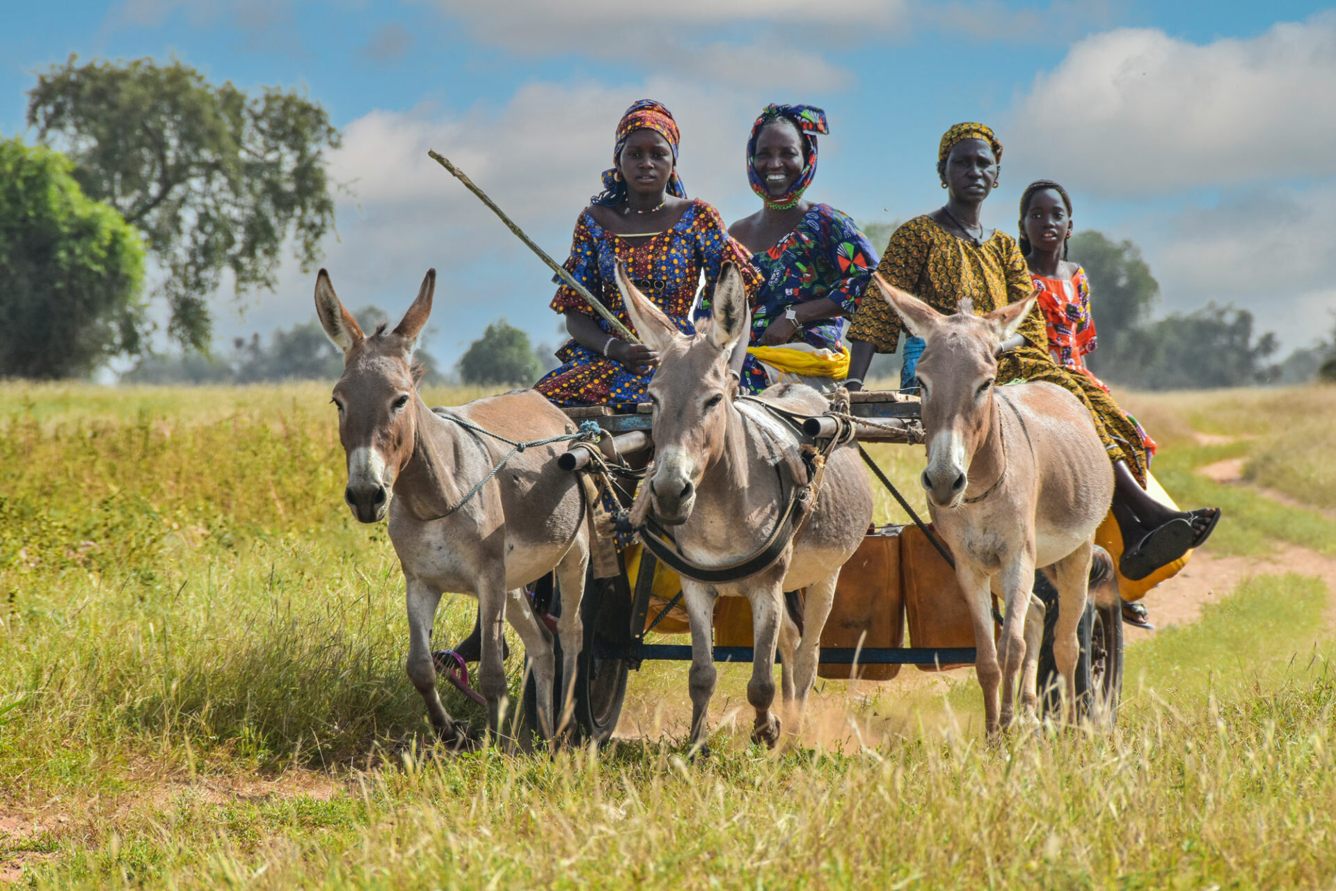 Missions | Institut Balanitès